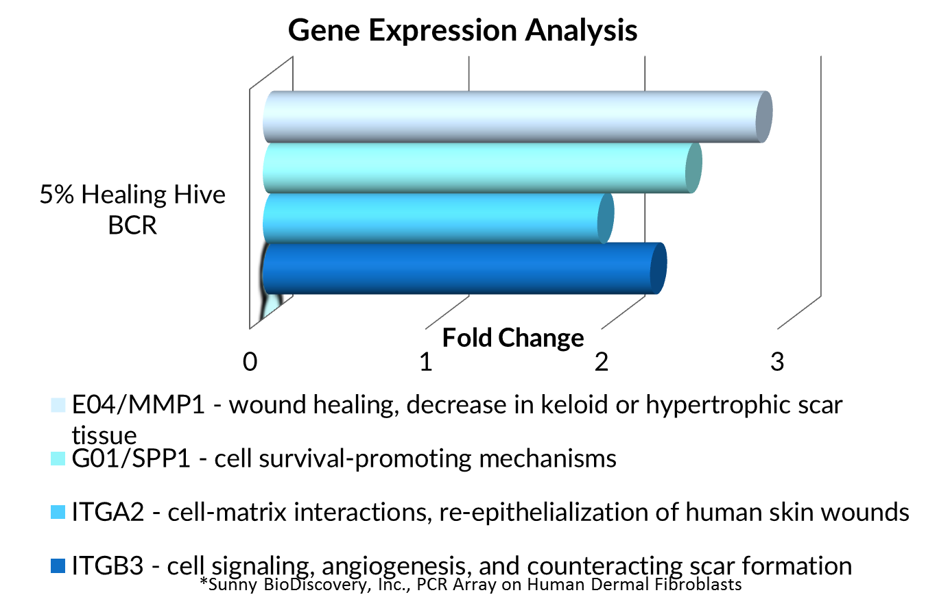 Healing Hive BCR | Natural Moisturizing Anti-Inflammatory Extract